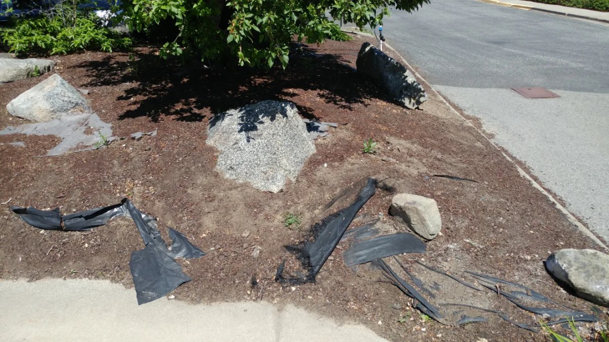 The Problem with Landscape Fabric – Climate Resilient Landscapes